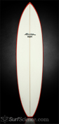 AKA Flying Fish Surfboard Review at SurfScience.com